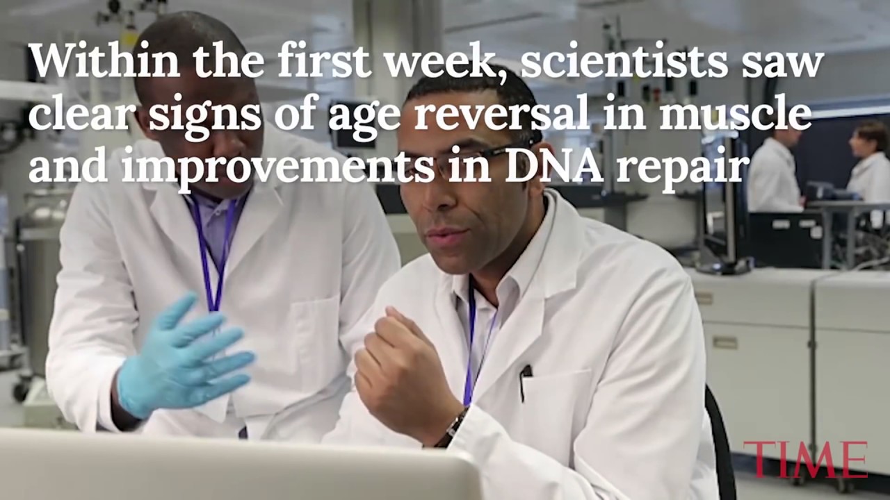 Scientists Can Reverse DNA Aging In Mice TIME - YouTube