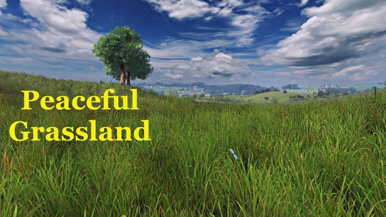 Peaceful Grassland [Relaxing Scene] - YouTube
