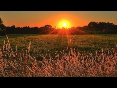 Nature Video 30 Seconds|WhatsApp Status Video|Nature Background Videos |(pert-2)