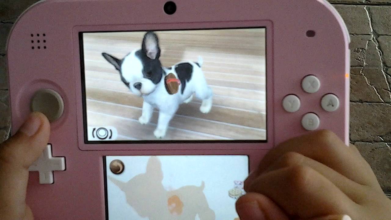 nintendogs+cats demo - YouTube