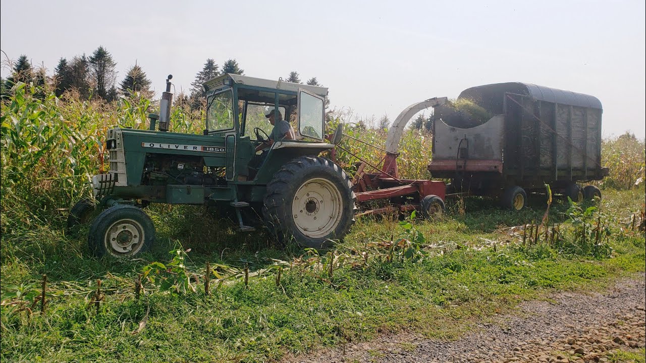 Antique Equipment Chopping Corn - YouTube