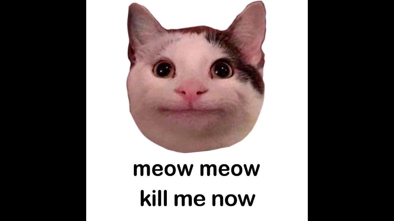 Meow 1 hour - YouTube