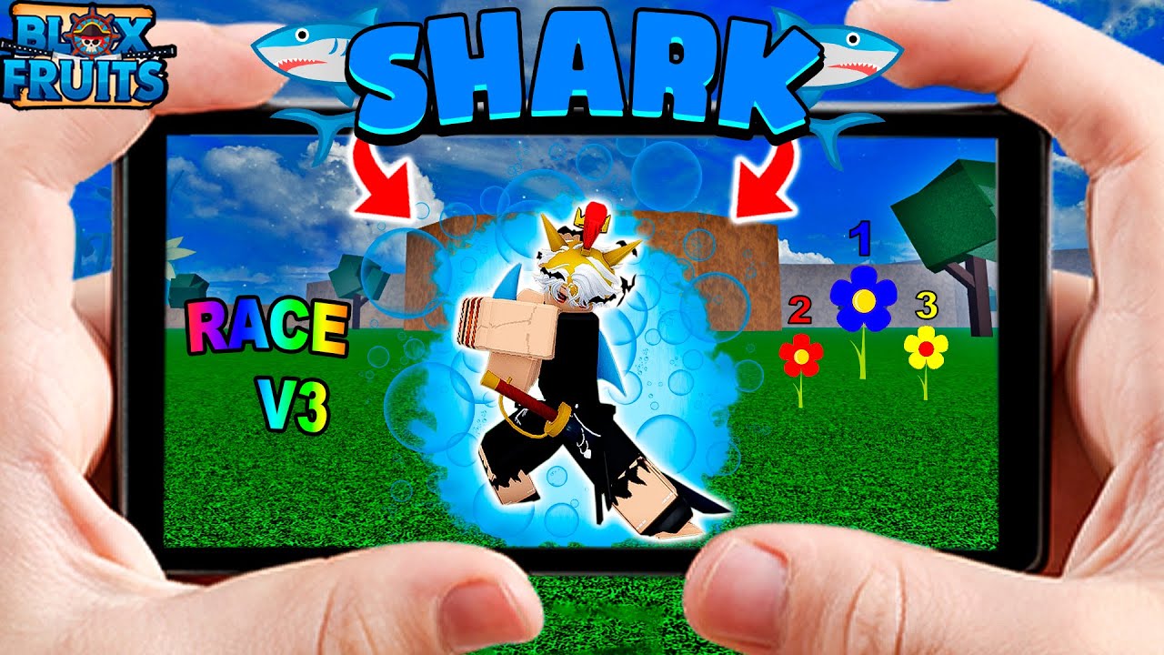 PEGUEI A RAÇA SHARK V1 V2 E V3 na CONTA MOBILE no BLOX FRUITS!! - YouTube