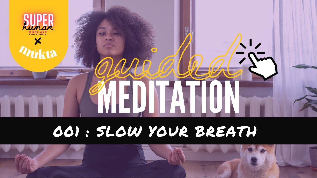 Slow Your Breath, Stress Relief: 5-Minute Morning Meditation ...