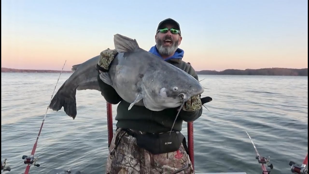 TOP 5 BIGGEST BLUE CATFISH CAUGHT ON YOUTUBE (compilation) - YouTube