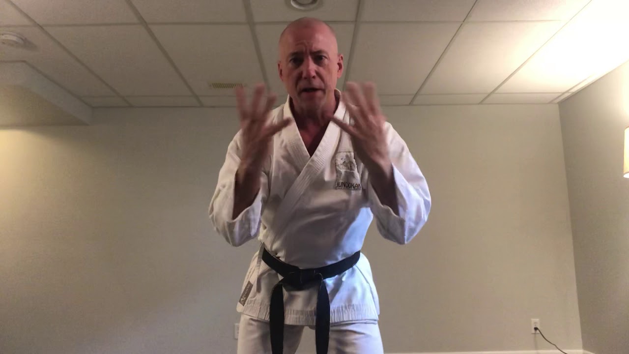 Punching/Blocking (Tsuki/Uke Waza) Basic Combinations #1 - YouTube