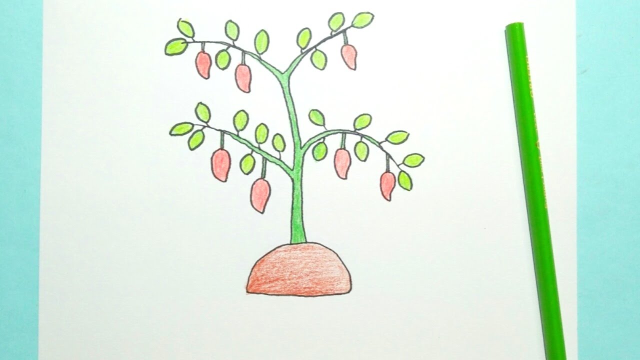 Drawing Plant - Chilli Tree - YouTube