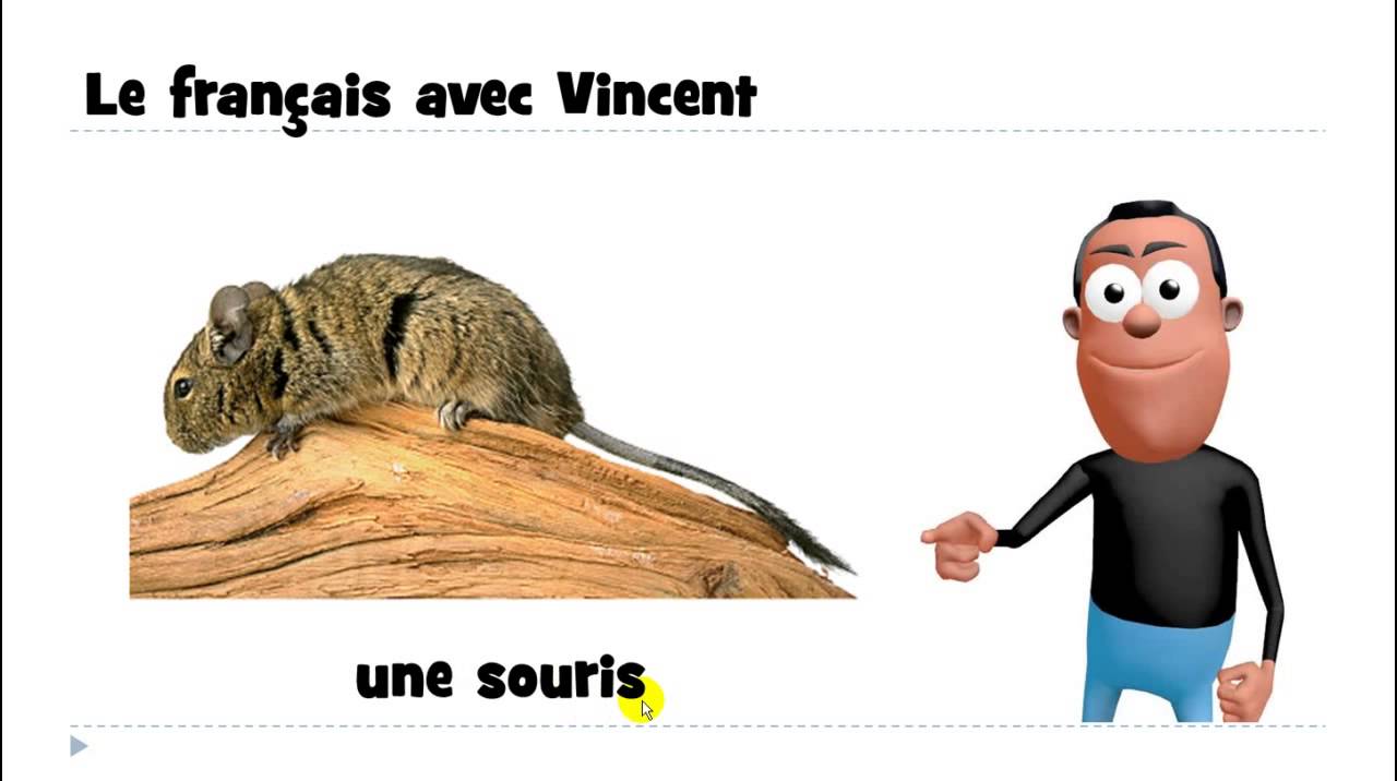 Lezione di francese # une souris - YouTube