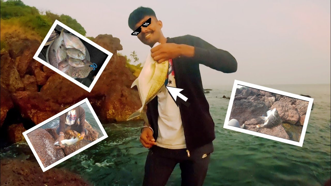 UNIQUE WAY OF FISHING 🎣 AND CAUGHT (YELLOW TAIL MULLETS) ( GT. TREVALLY ...