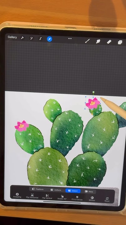Drawing cacti on Procreate - YouTube