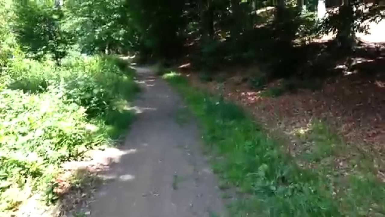 lac codlea - YouTube