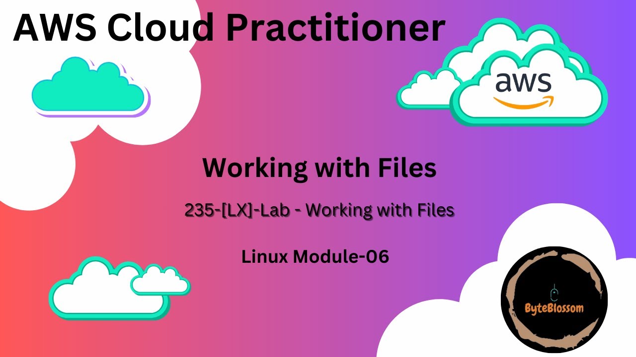 235-[LX]-Lab - Working with Files - AWS Cloud Practitioner #aws #clouds ...