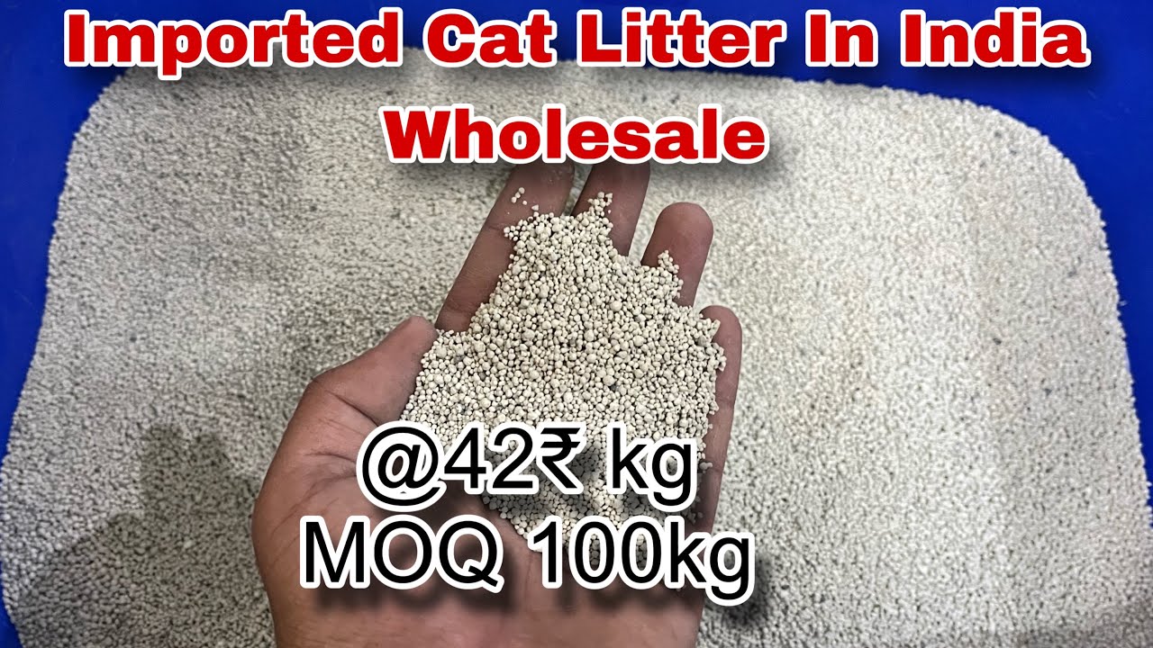 Purchase Imported cat litter sand at wholesale price Ghaziabad ...