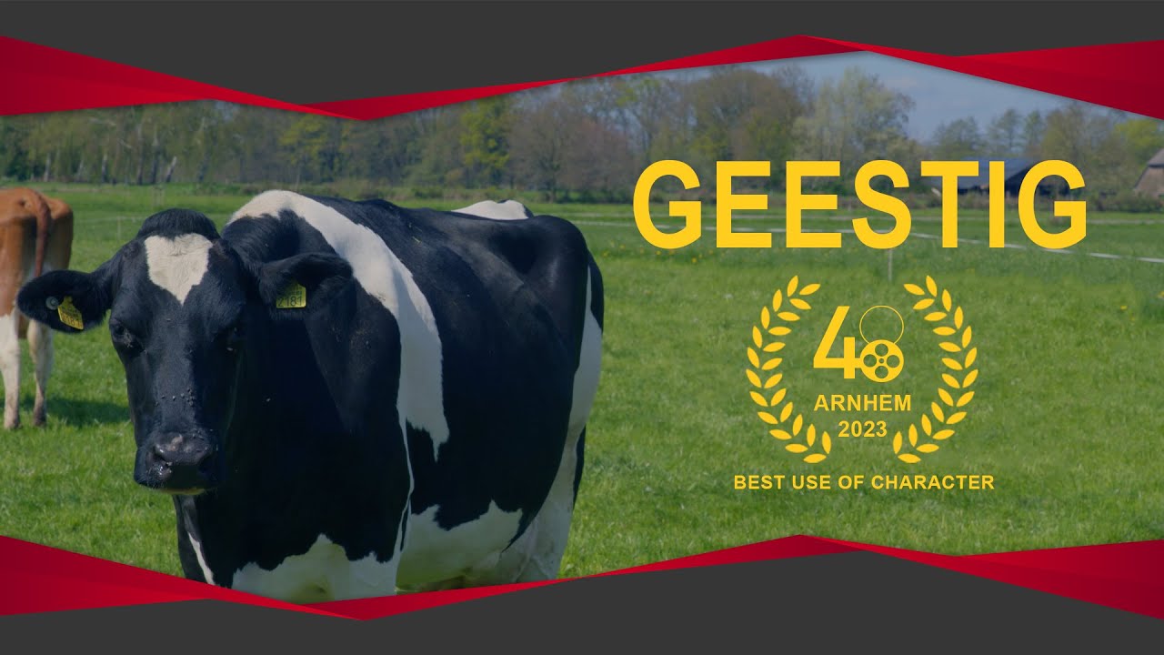 GEESTIG | DE BLOCKBUSTER BRIGADE | Dutch short film | 48 Hour film ...