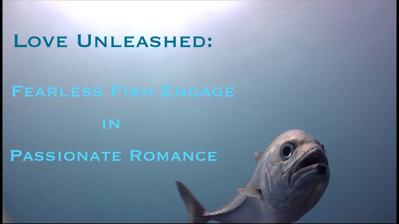 Love Unleashed: Fearless Fish Engage in Passionate Romance - YouTube