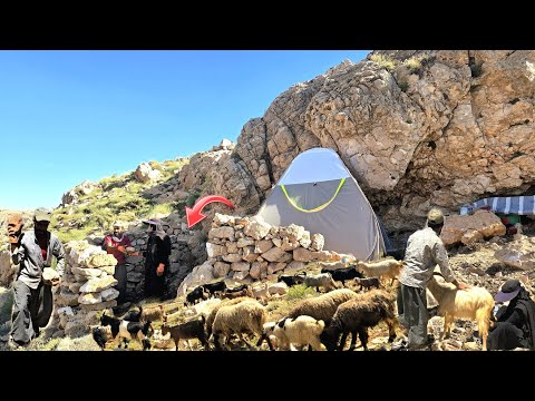 🏔️ Mountain Cave Life | Turning a Cave into a Safe Home for Sheep & Nomads' Survival Fight 🐑🔥