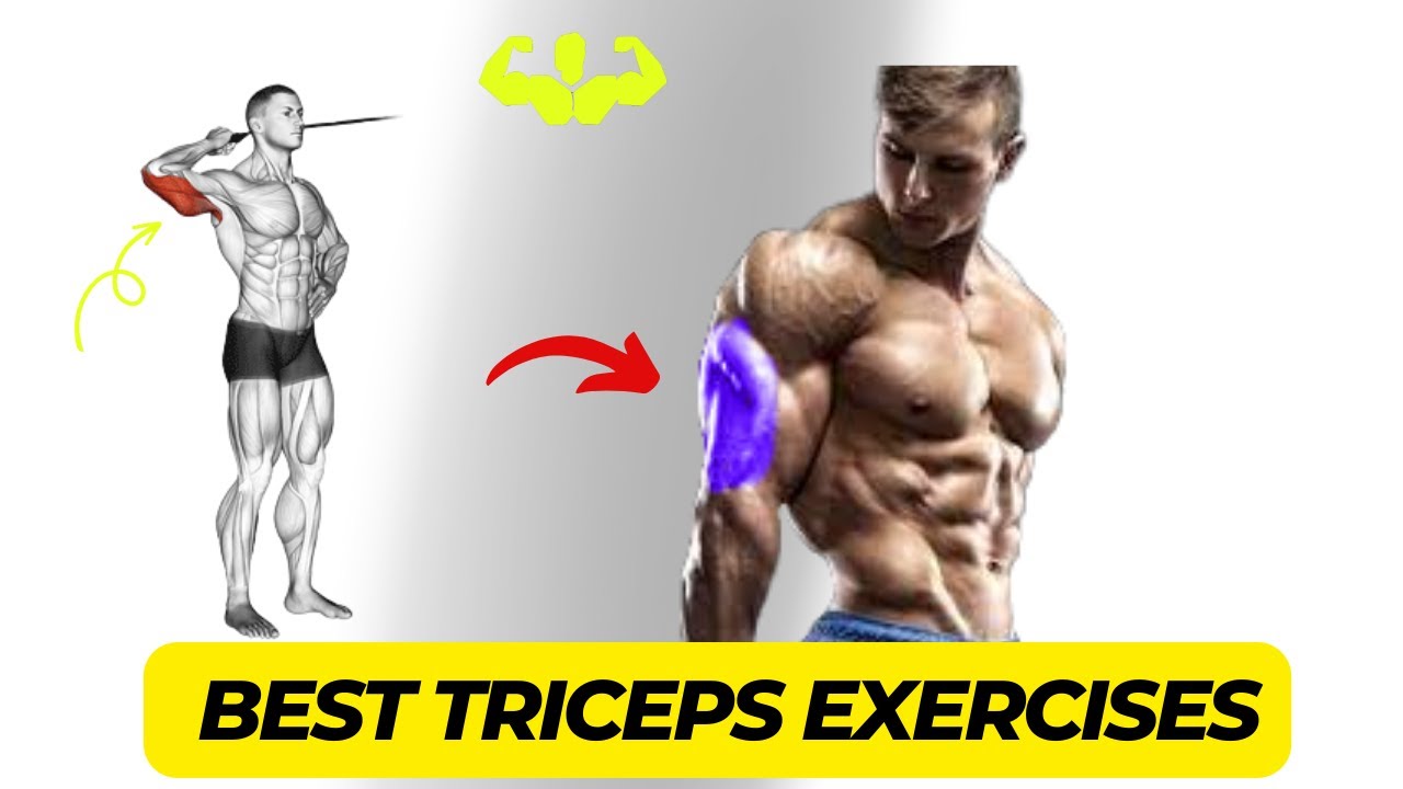 Build Bigger Triceps Faster With These Triceps Exercises - YouTube
