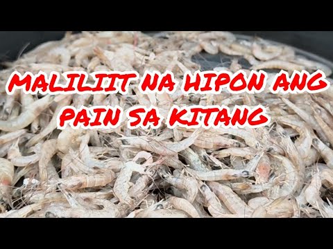 VLOG 129- Maliliit na Hipon ang pain sa Kitang Part 1 of 5 - YouTube