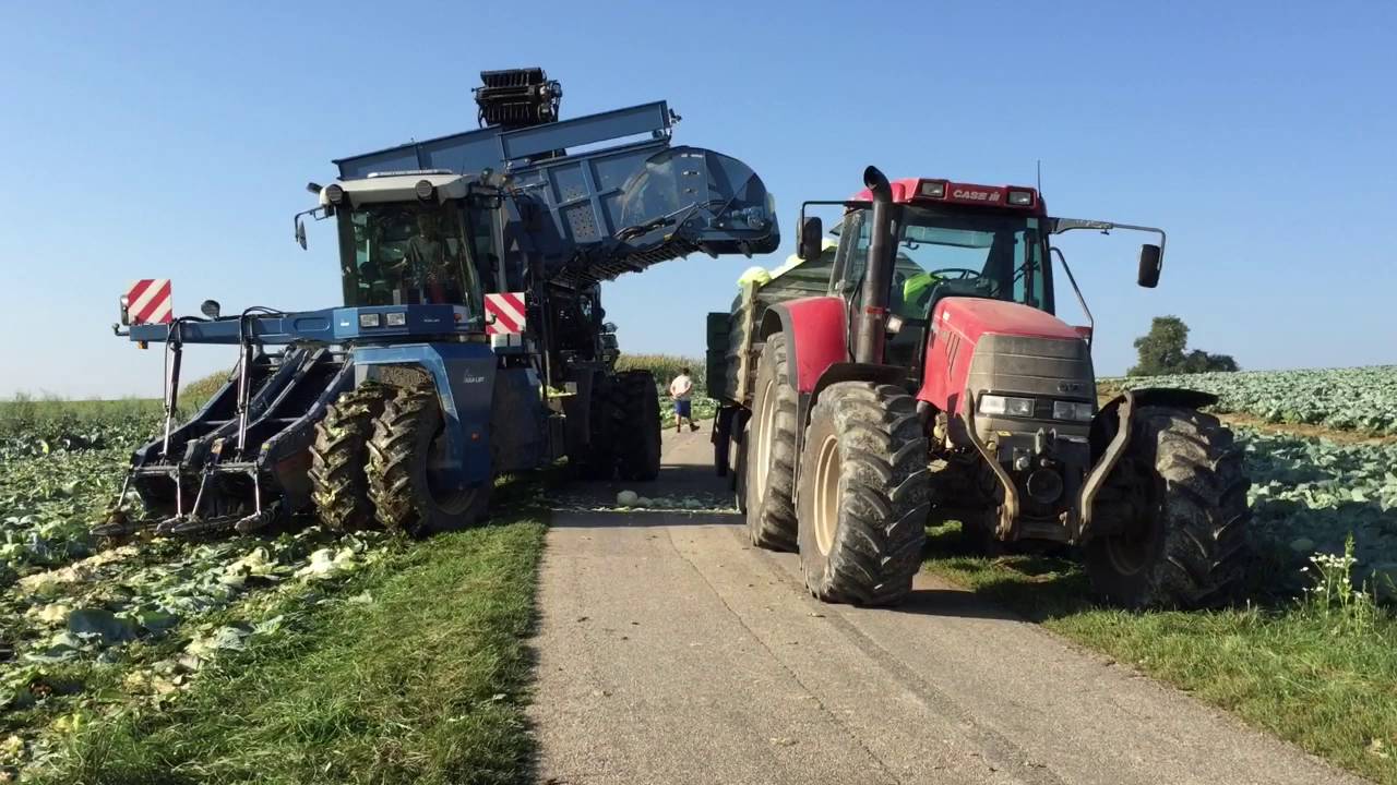 Amazing Vegetable Harvesting Machine Youtube