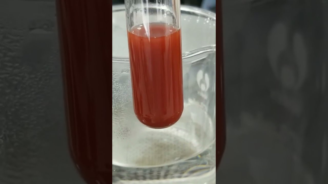 TEST DE FEHLING PARA ALMIDÓN HIDROLIZADO | #short #shorts #ciencia # ...
