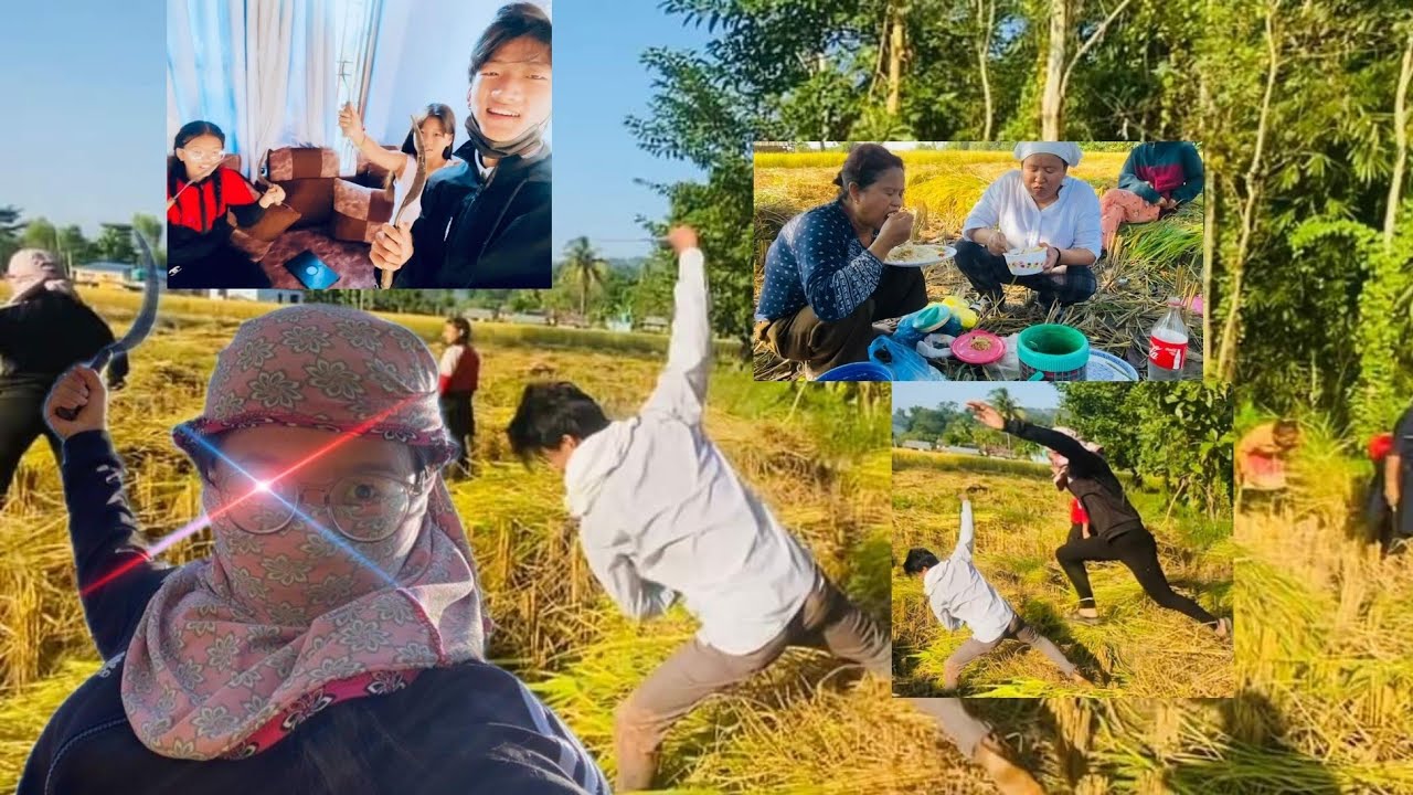 New vlog #Dhan kateko 😊🥰🥰🥰 - YouTube