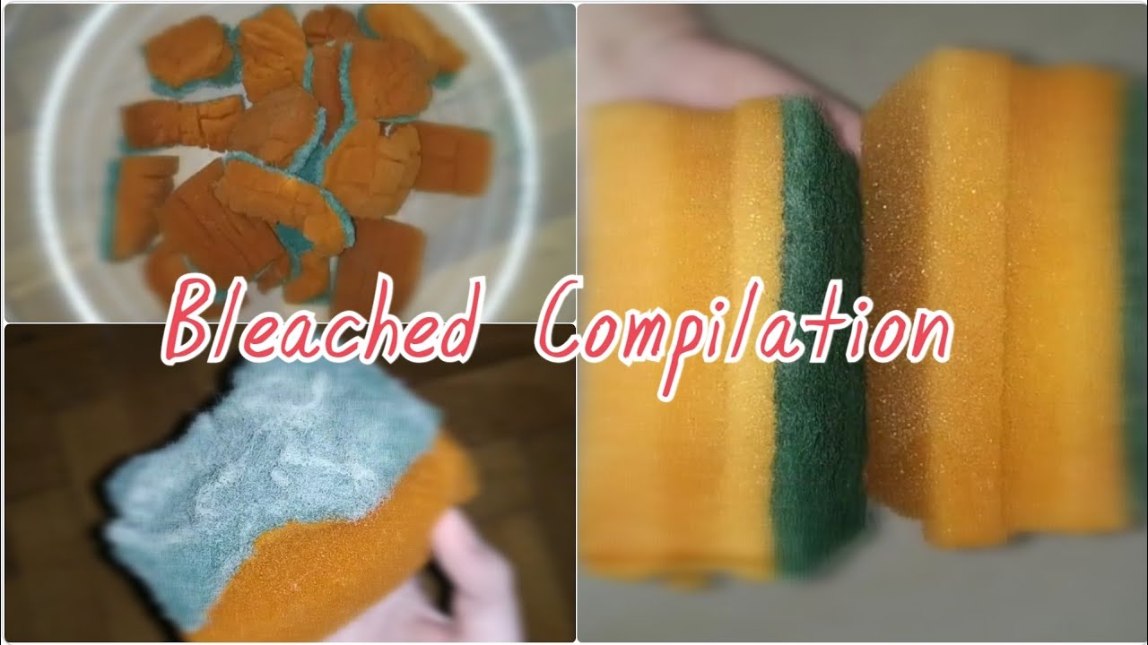 Bleached Kitchen Sponges Dry Ripping Compilation | Sponge ASMR - YouTube