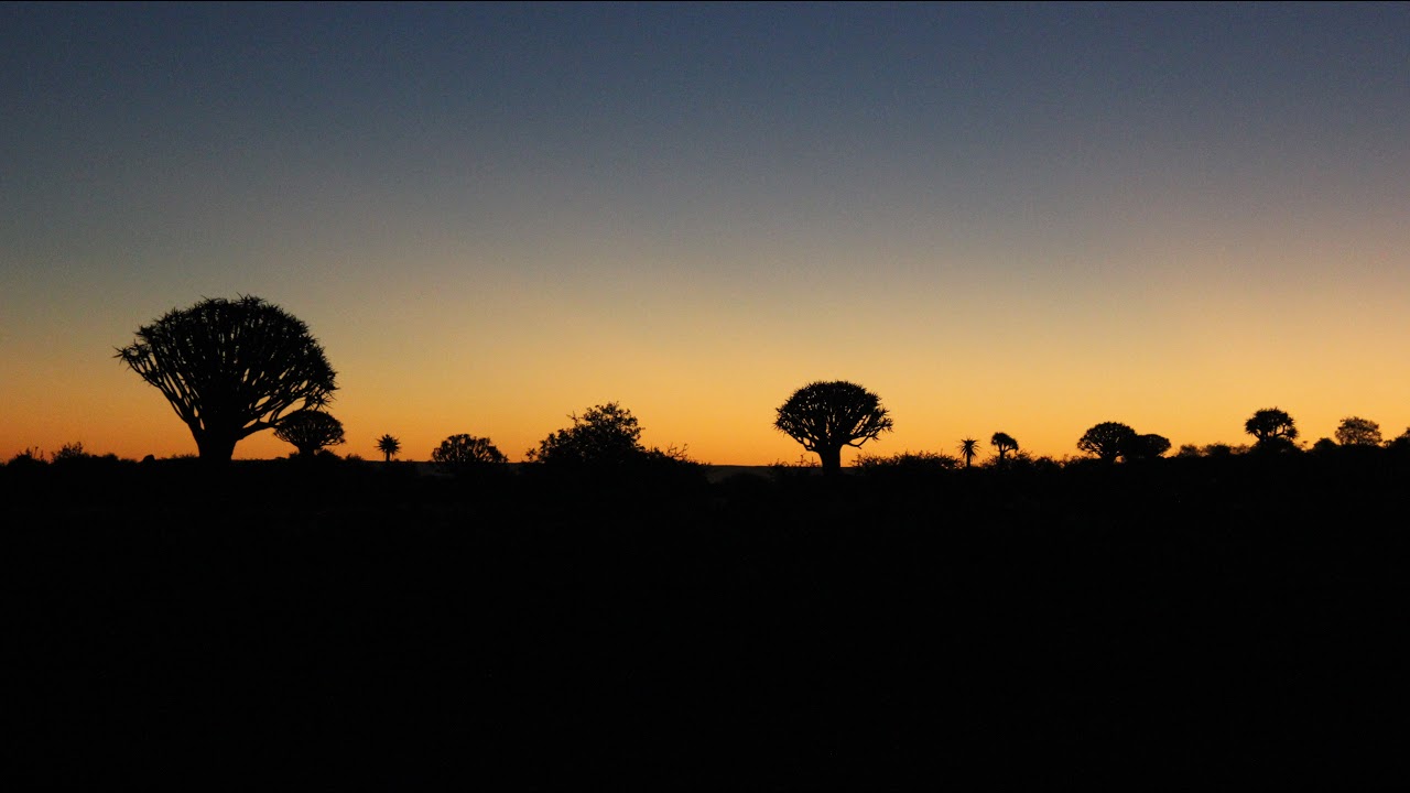Namibia Nature Foundation Live Stream - YouTube