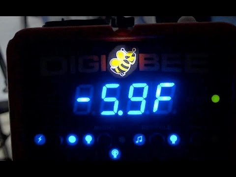 Digibees are DigiBeeautiful !! Let there be (COOL) LIGHT!! 400 WATTS of ...