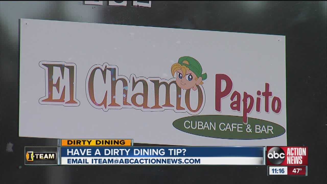 DIRTY DINING: El Chamo Papito Cuban Cafe - YouTube