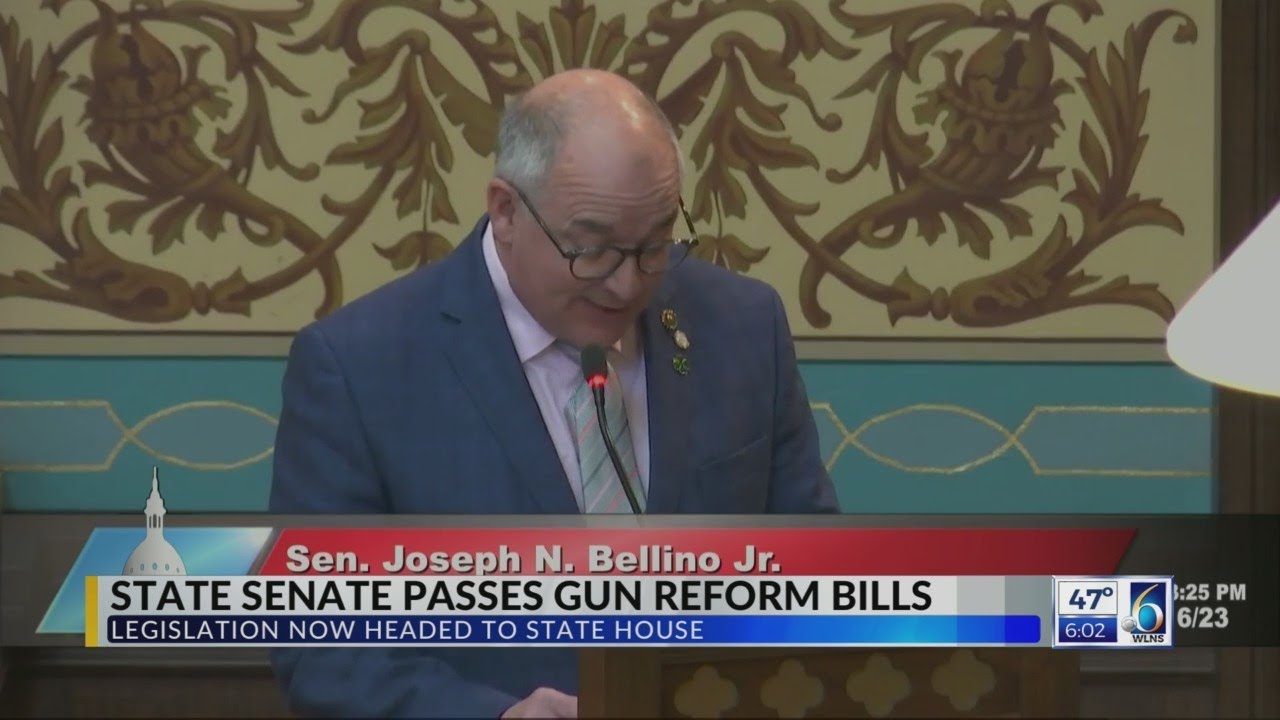 MI Senate Passes Gun Reform Bills - YouTube