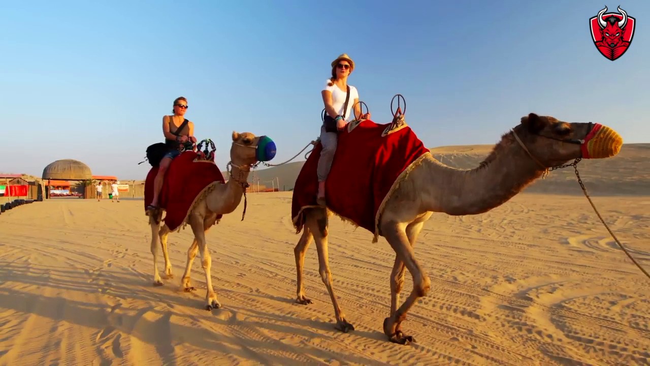 Diablo Power - Pre Entreno en Dubai - YouTube