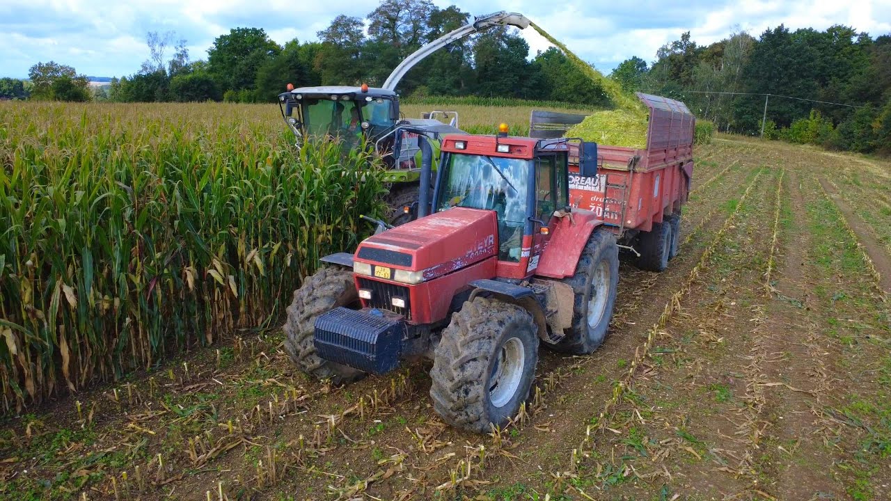 Silage with Claas Jaguar and Steyr. ZD Pluhův Žďár - YouTube