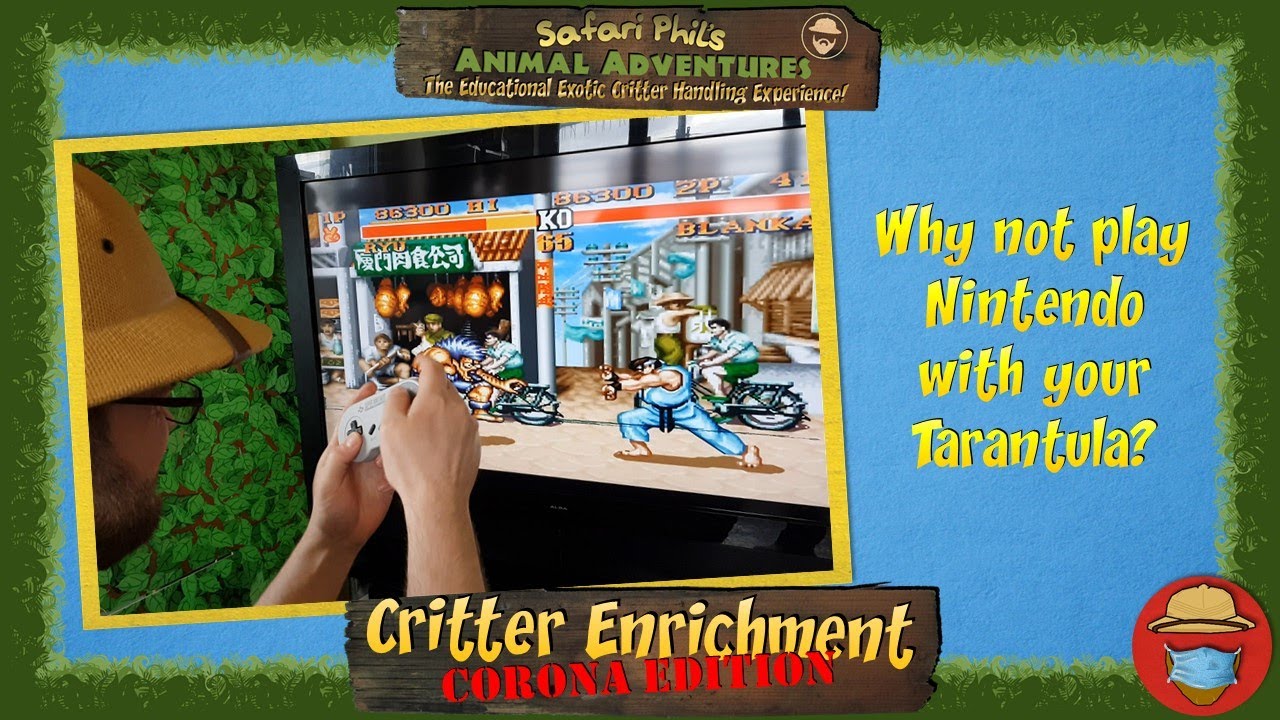 Safari Phil's Critter Enrichment - Corona Edition! - YouTube