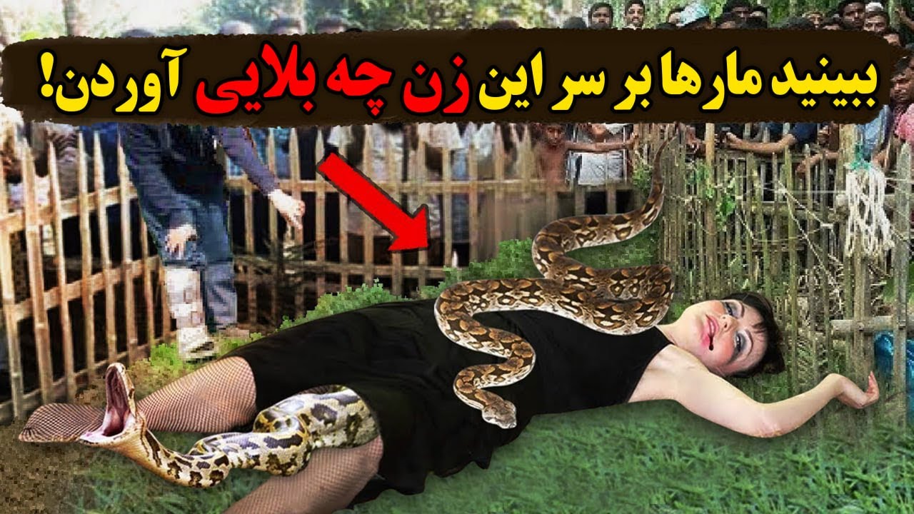 این زن در نبود شوهرش،هر شب با یک مار بزرگ می خوابید ولی آن مار کاری با