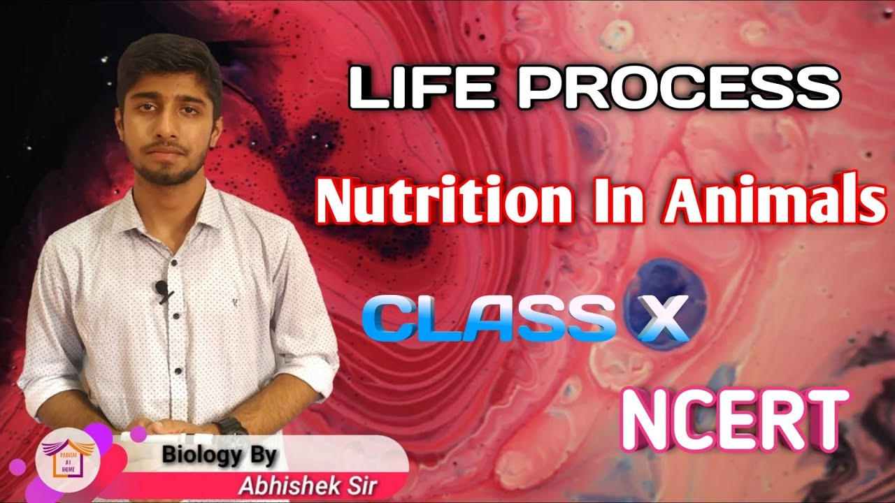 Life process Class 10 Science Biology |CBSE | NCERT | Lecture -10 - YouTube