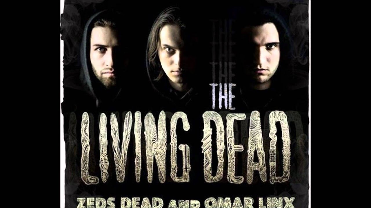 Zeds Dead & Omar LinX - Take A Chance HQ - YouTube