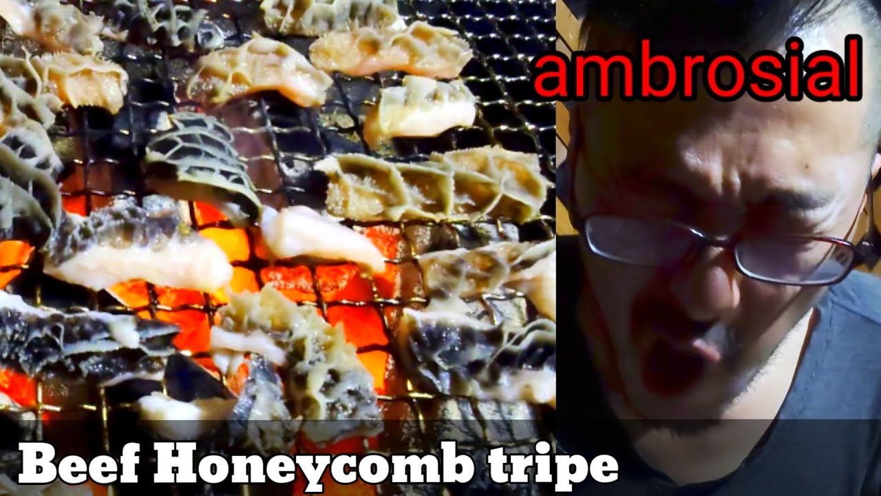 Cooking - Beef Honeycomb tripe recipe - YouTube