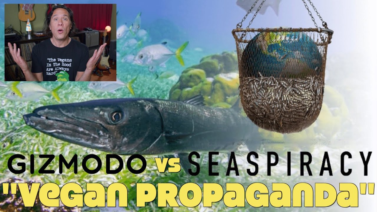 Fishless Oceans By 2048? Fact Checking Seaspiracy (& Gizmodo's Debunk ...