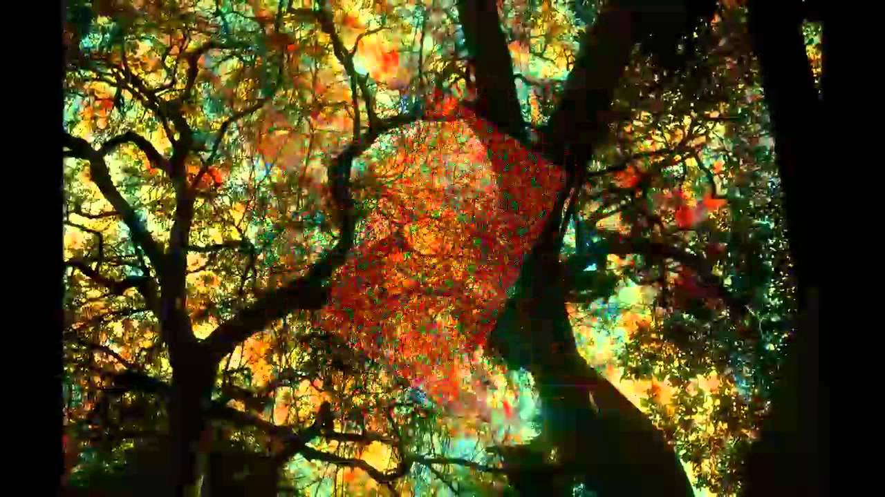 'DRUG INDUCED TRANCE' - Matthew Stone - YouTube