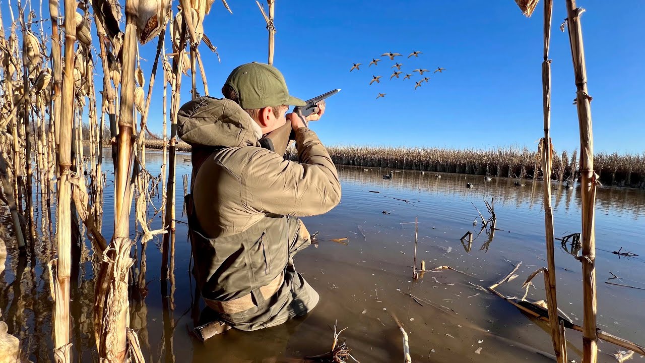 Duck Hunting a FLOODED Corn Field LOADED with DUCKS! - YouTube