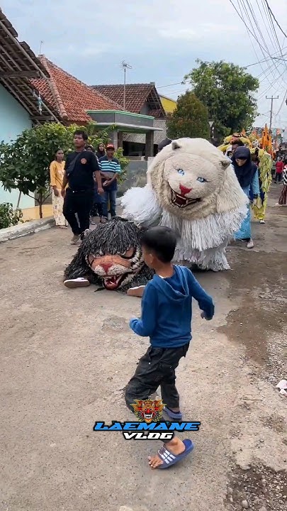 Can Macanan Di Ledekin Bocil FF - YouTube