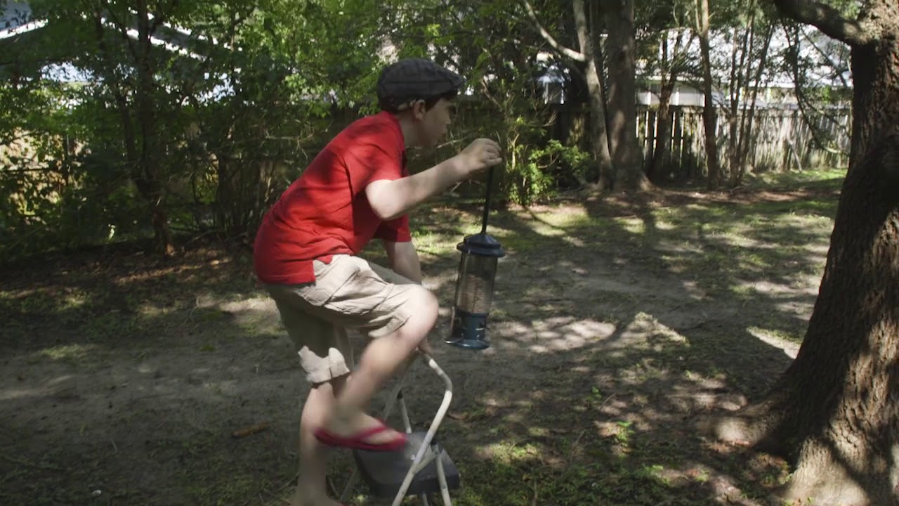 module 3 activity - YouTube