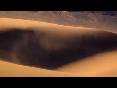 National Geographic Wild - The NAMIB DESERT HORSE - Born to Survive -Africa's Wild