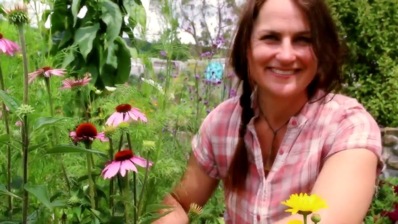 Medicinal Herbs for your garden - YouTube