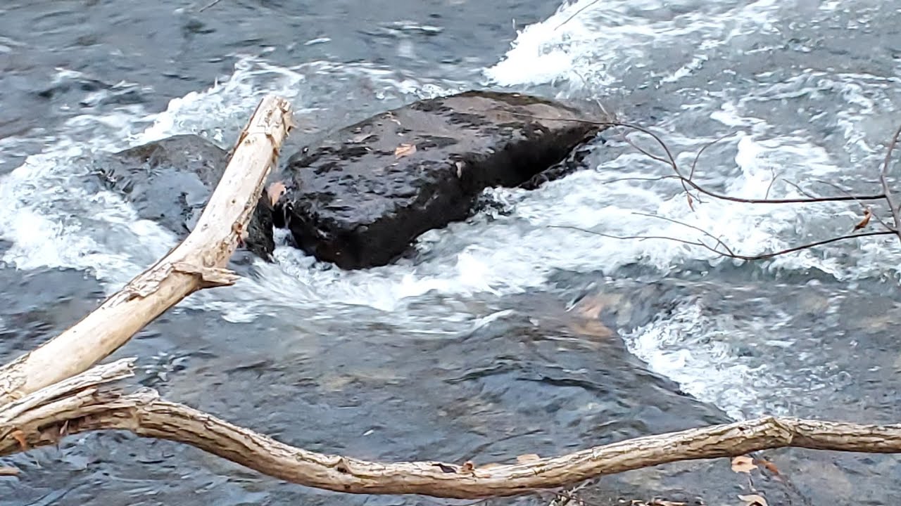 wow spring water in the bayou. - YouTube