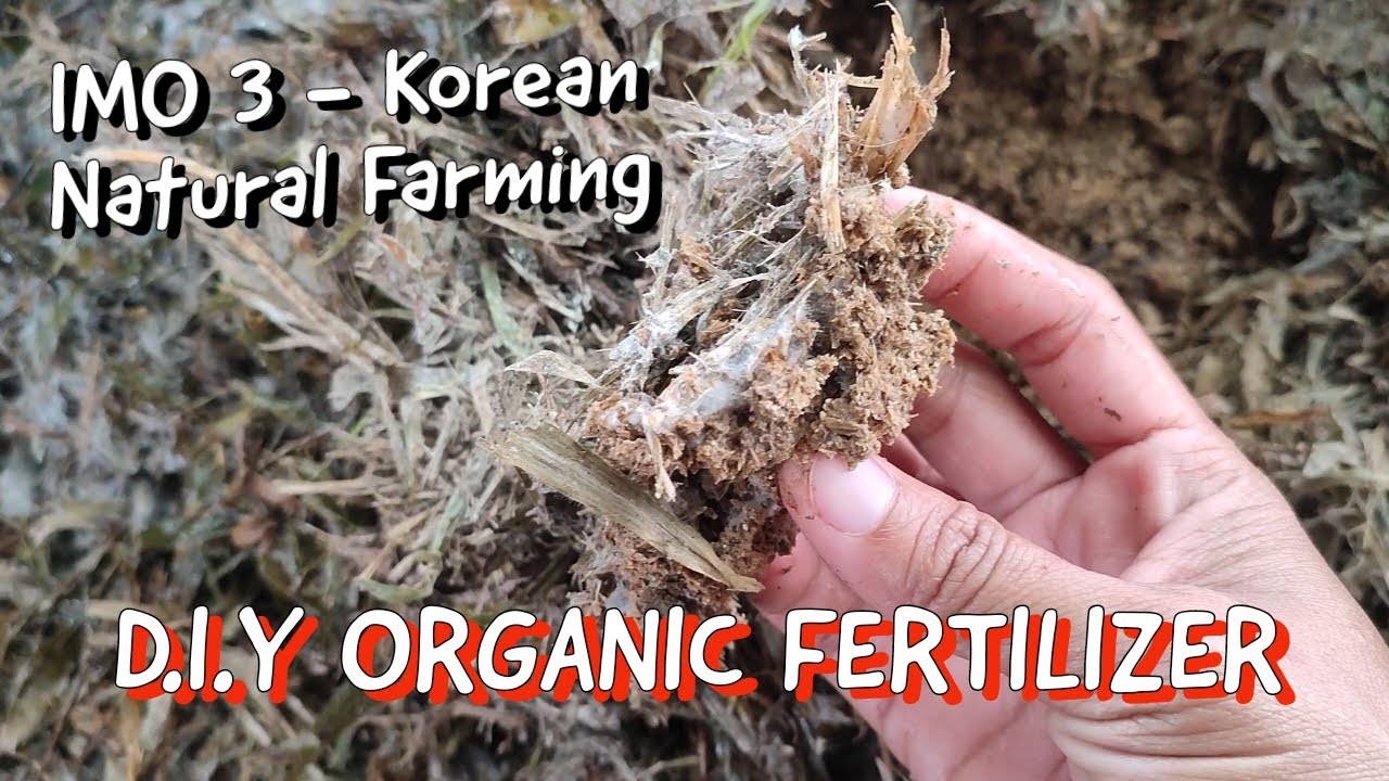 Save Money By Making Your Own Effective Organic Fertilizer | How To Make IMO 3 | Organic Farm ...