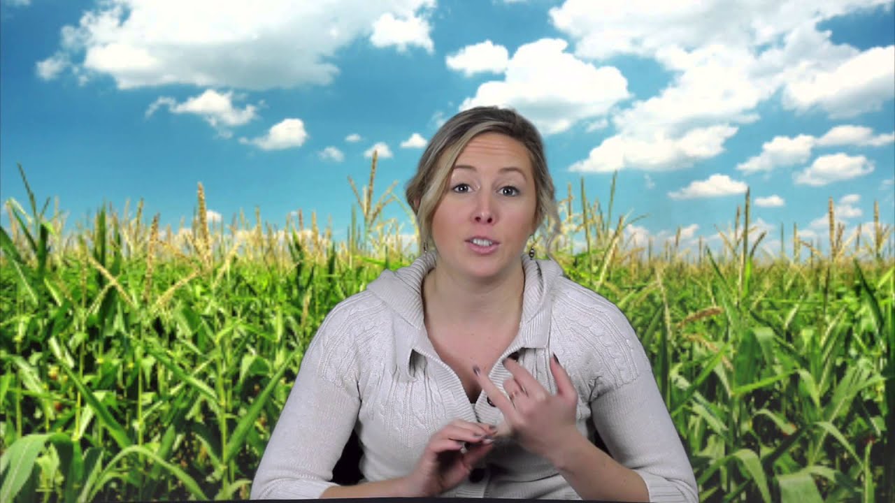 Iowans Debunk Midwest Stereotypes - YouTube