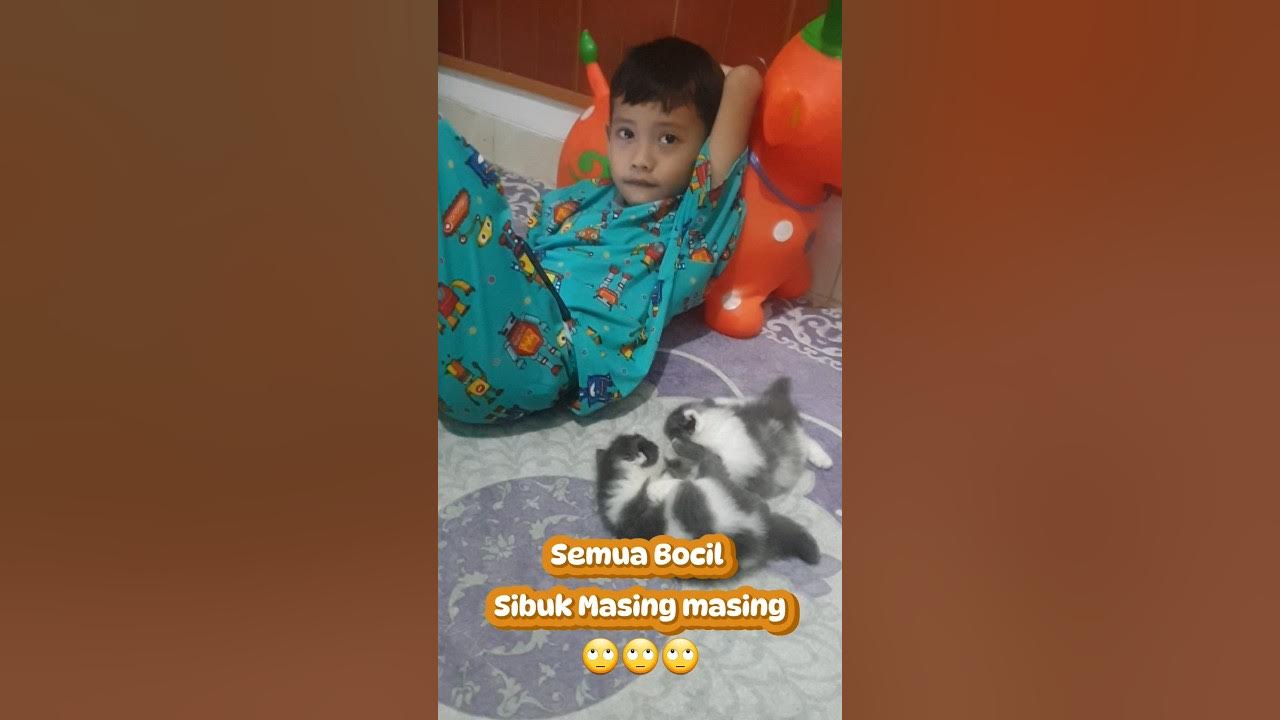 Semua Bocil Sibuk masing masing 😒😒 #keluarga #kucing #anakkucinglucu - YouTube