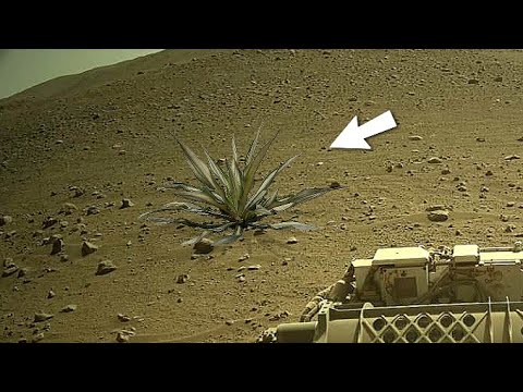 Mars Perseverance Rover acquired 4k New Video Footage of Mars In 4k ...
