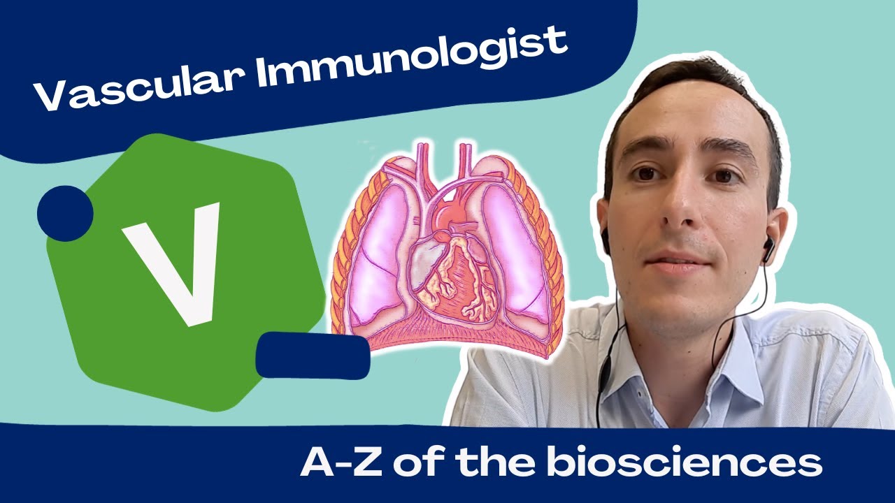 Letter V | Vascular Immunologist | A to Z of the Biosciences - YouTube